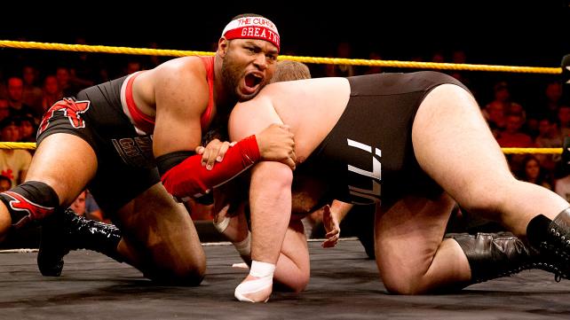 ¿A Quiénes despedirán este 2017? - TIM Wrestling