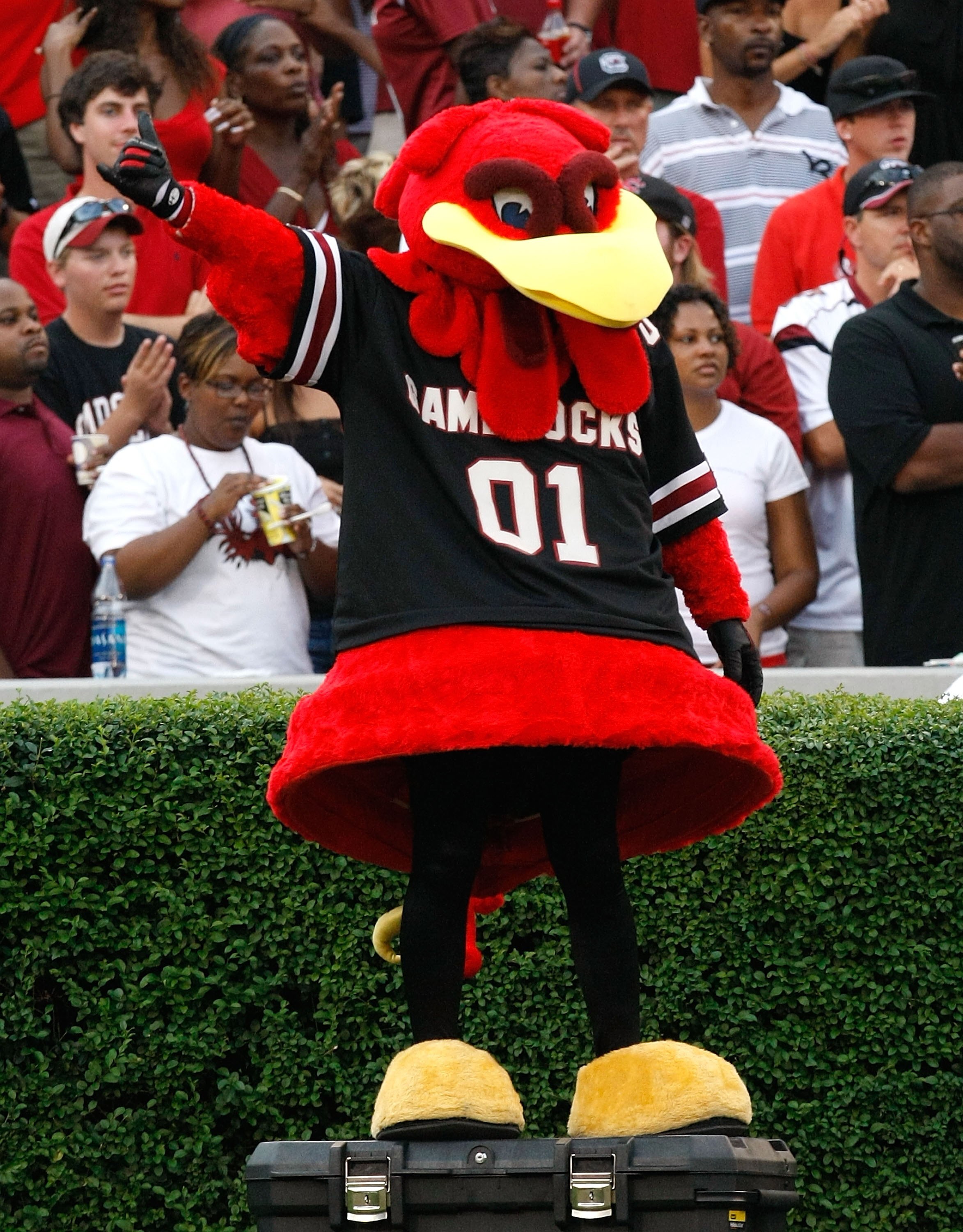 Power Ranking the 10 Worst Mascots in College Football