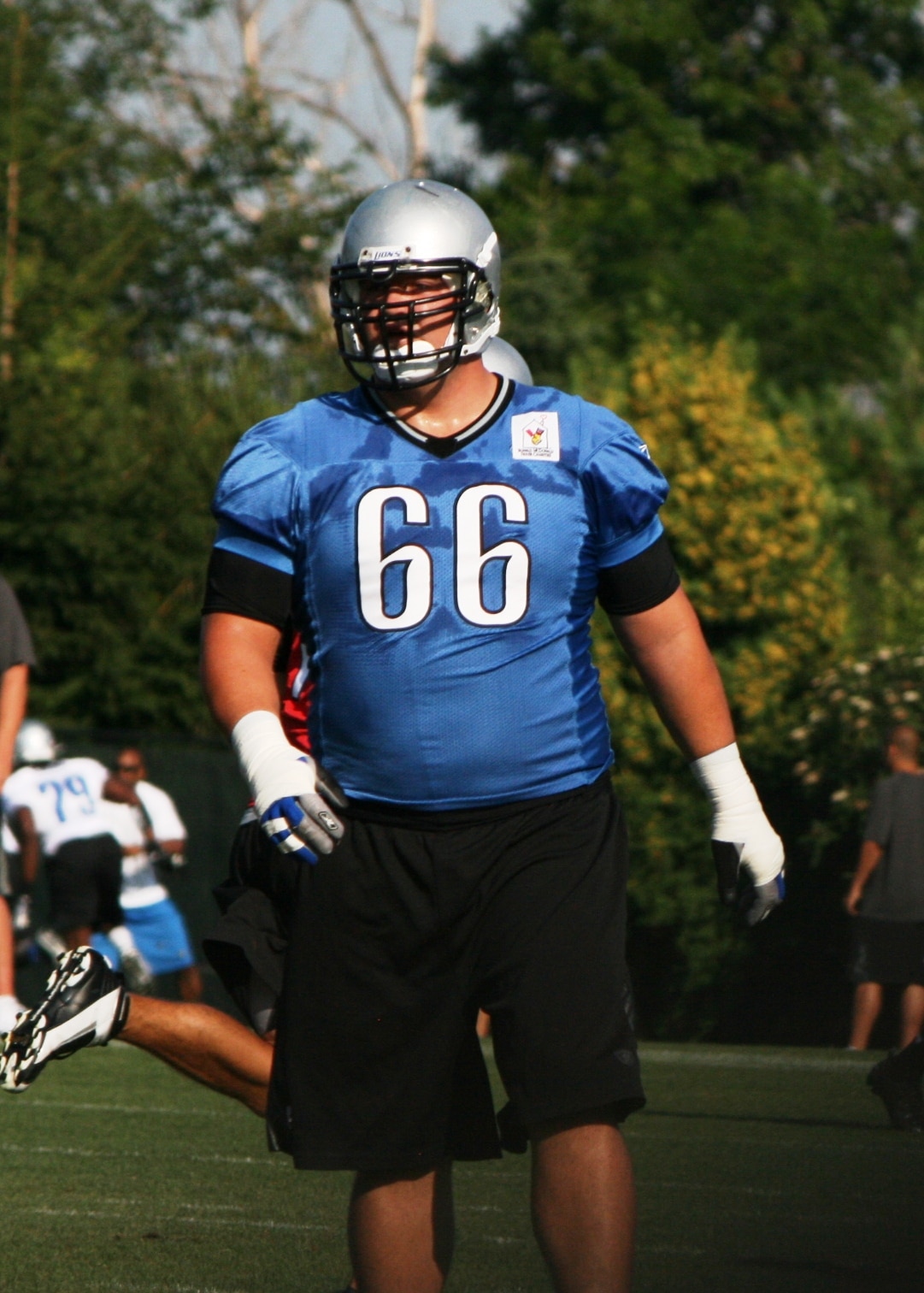 Detroit Lions Update: Ndamukong Suh Raw but Talented (Photos)