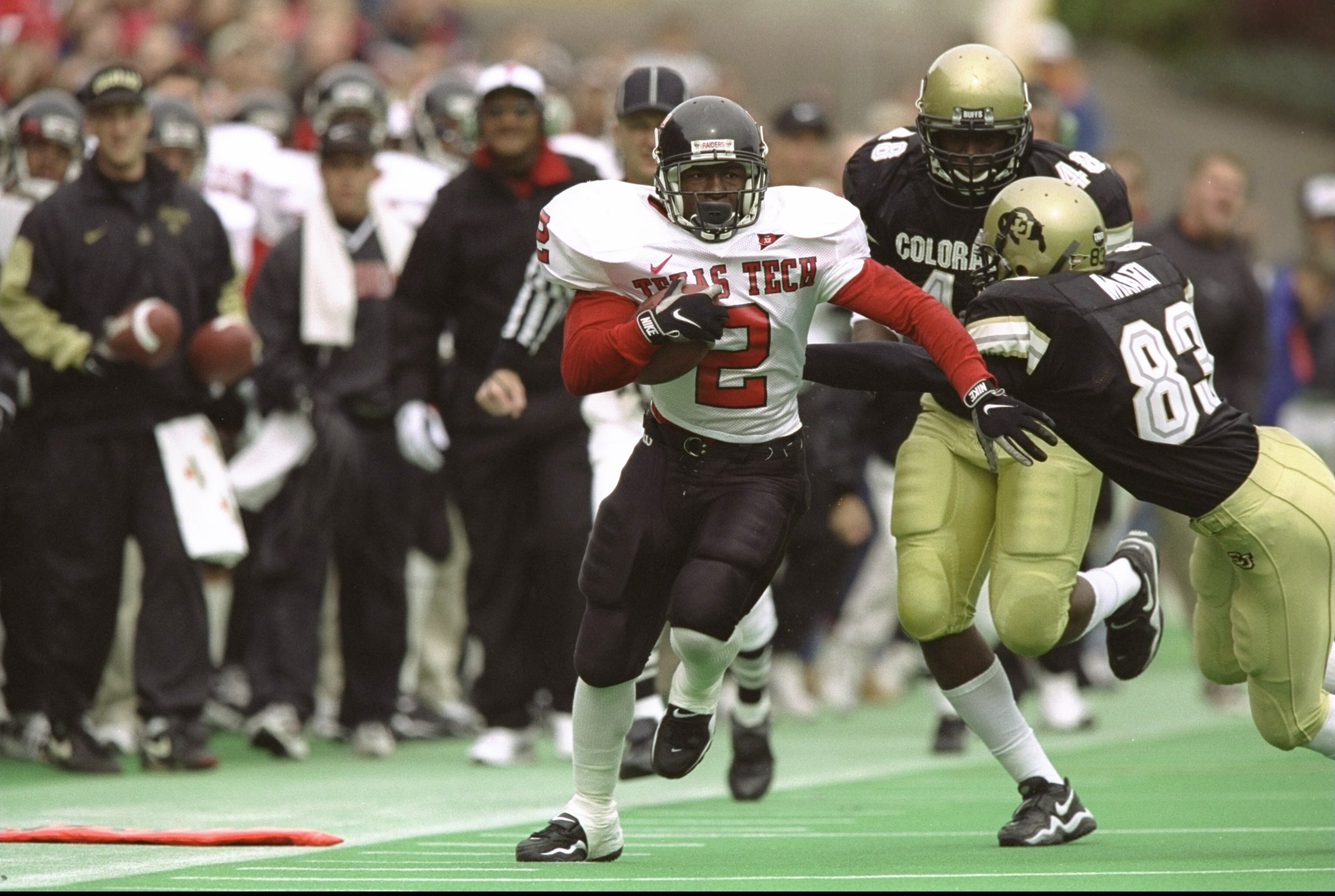 2010 Texas Tech Football: The Path to Perfection