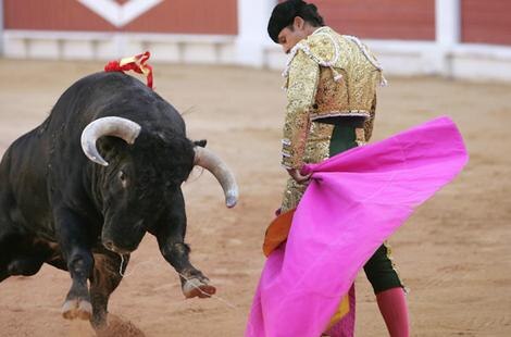 Bull Jumps Into Crowd Video: 10 Reasons Bullfighting Is the Worst Sport