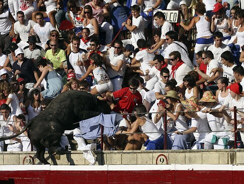 Bull Jumps Into Crowd Video: 10 Reasons Bullfighting Is the Worst Sport
