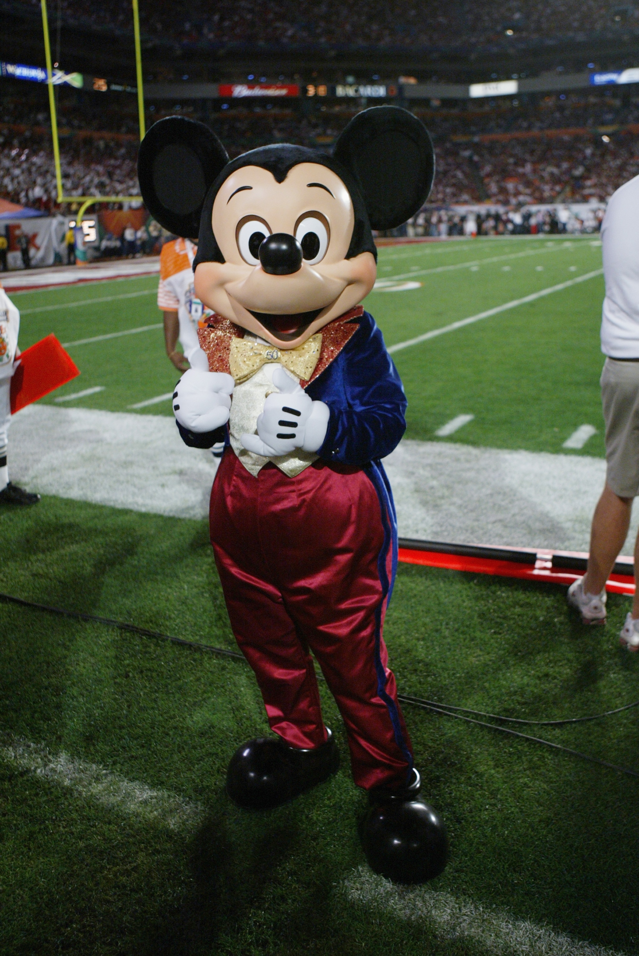 2010 NFL Predictions: Divisional Winners, Super Bowl Champion, and More