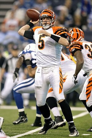 Carson Palmer : If He Doesn't Perform In 2010/11, What's Next?