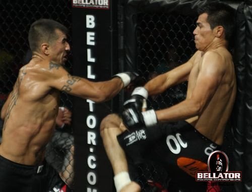 The Bellator Fighting Championships: Five Reasons To Watch