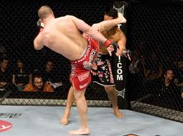 Left Leg Cemetery: Cro Cop and the Top 10 Head Kick Knockouts | News ...