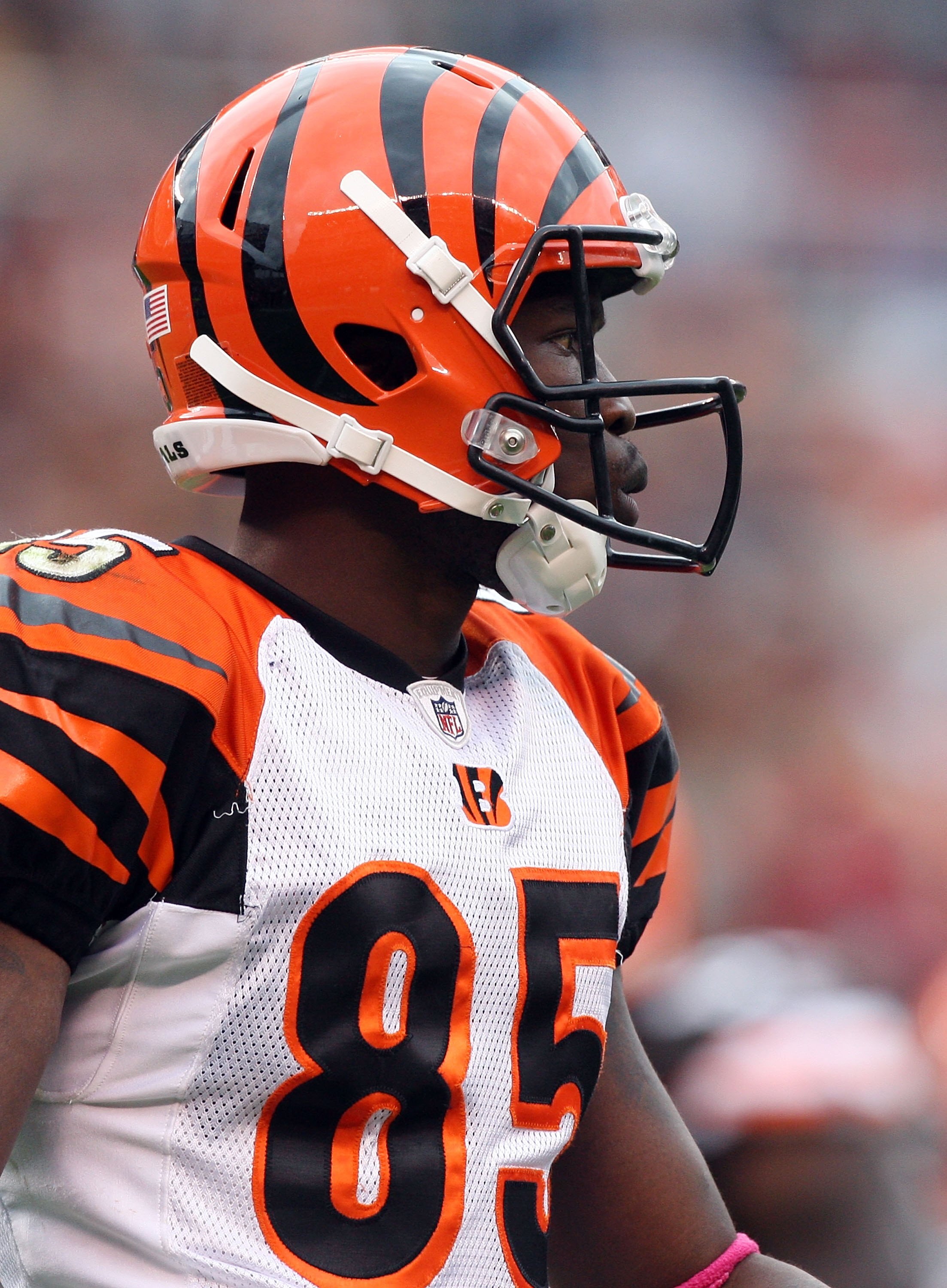 NFL Power Rankings Week 5: Ravens Roaring, Bears Falling Back to the ...