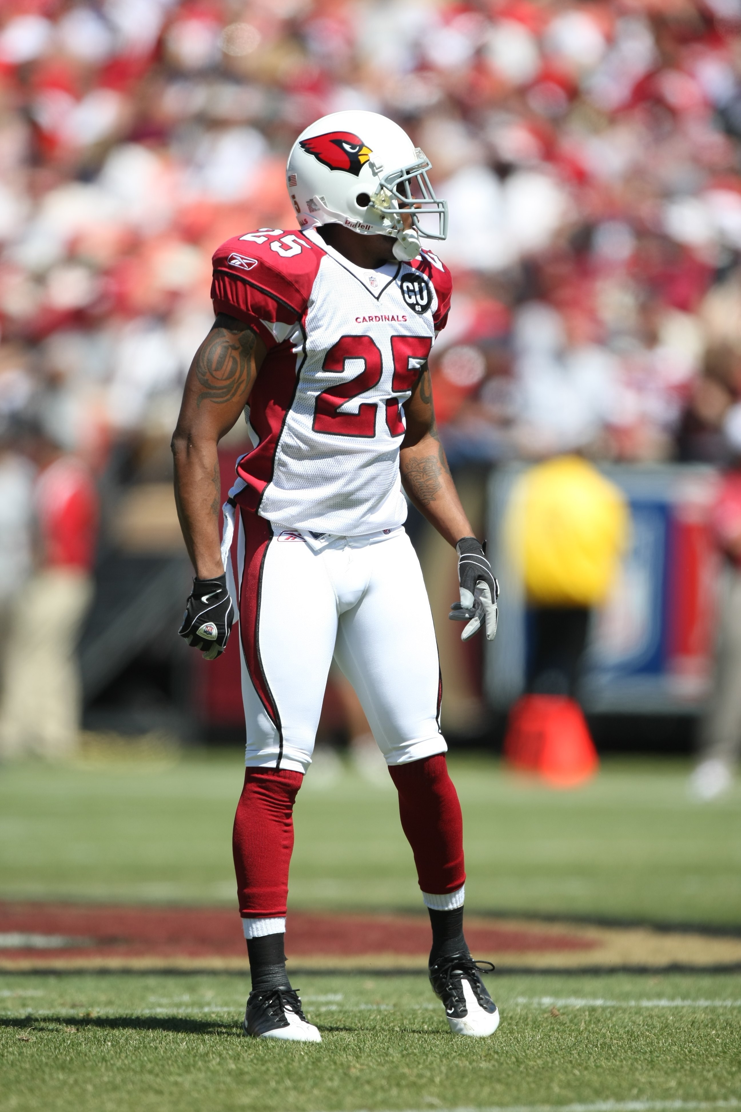 NFL Perverts : Castrating the Problem For the Sake of Society