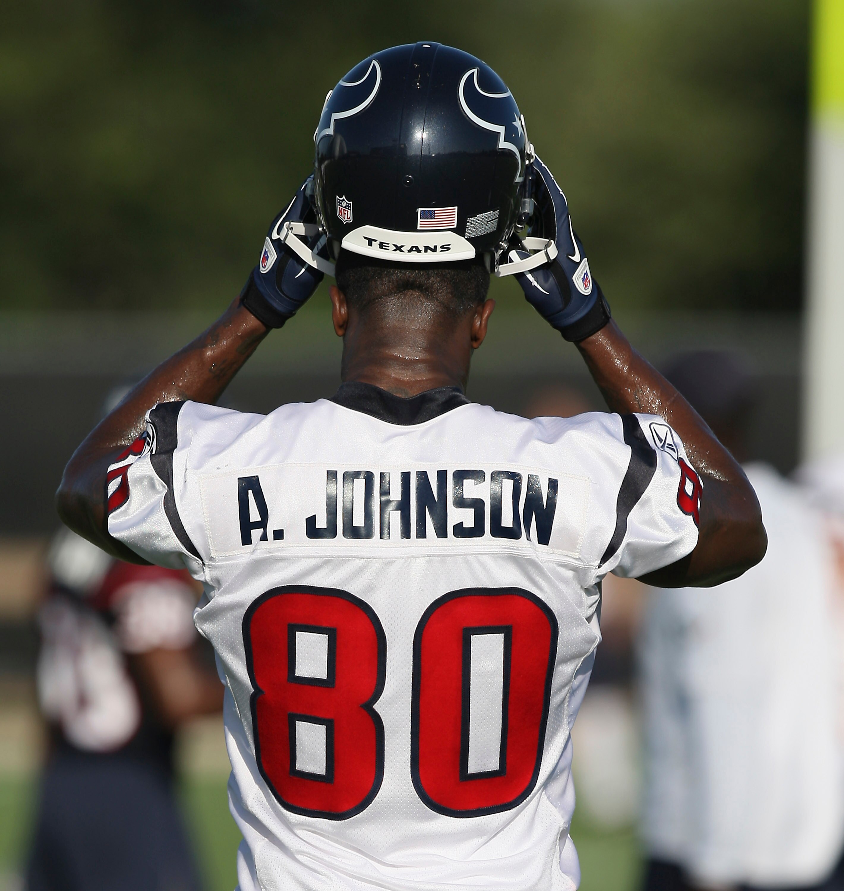 Franken-Hands: Constructing the Ultimate NFL Wide Receiver | News ...