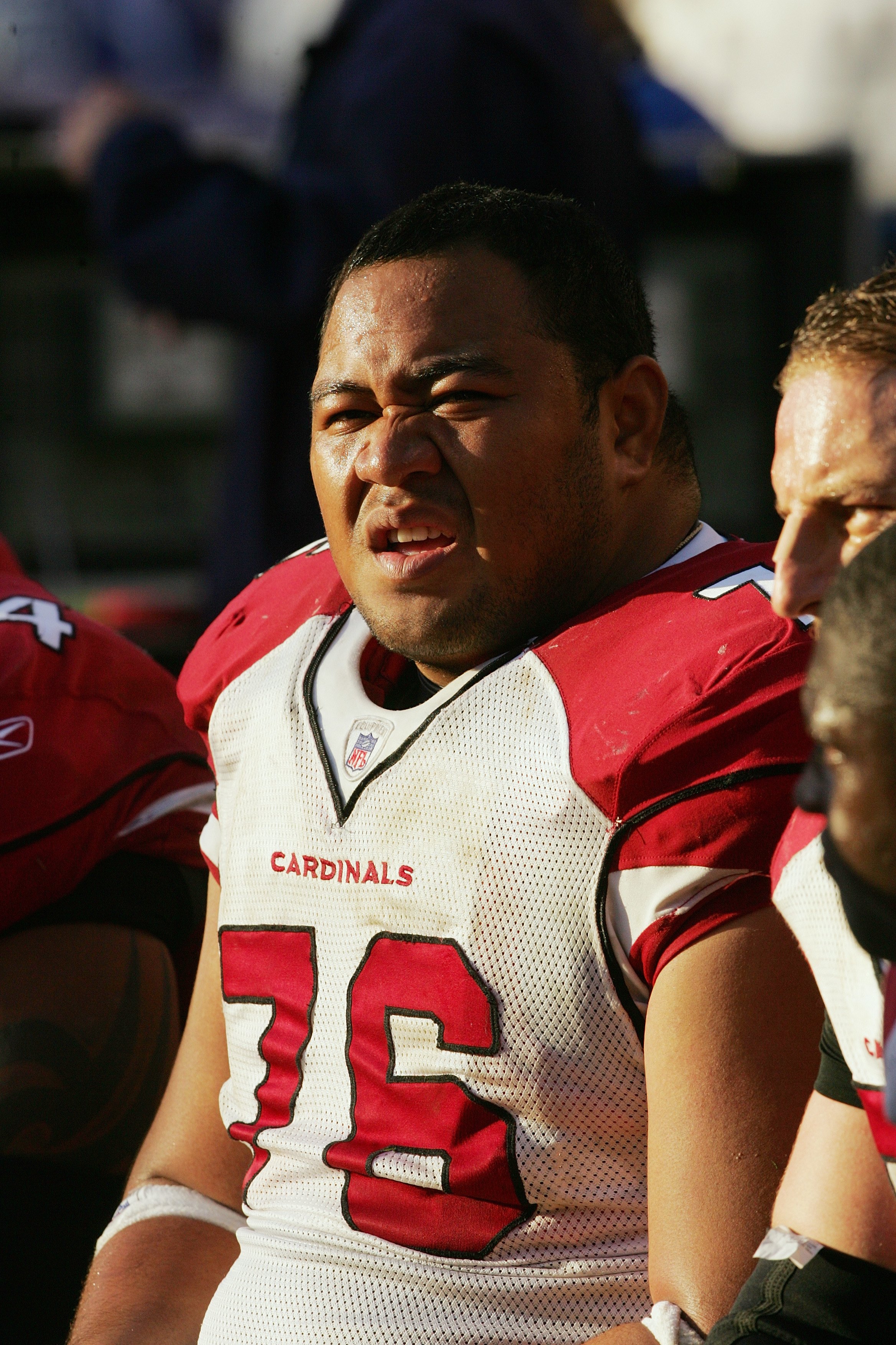 QB Max Hall of Arizona Cardinals and Eleven Other Mormons Making Impact ...