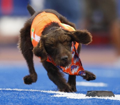Boise State's Five Strikes: Things We Learned From BSU's Romp versus ...