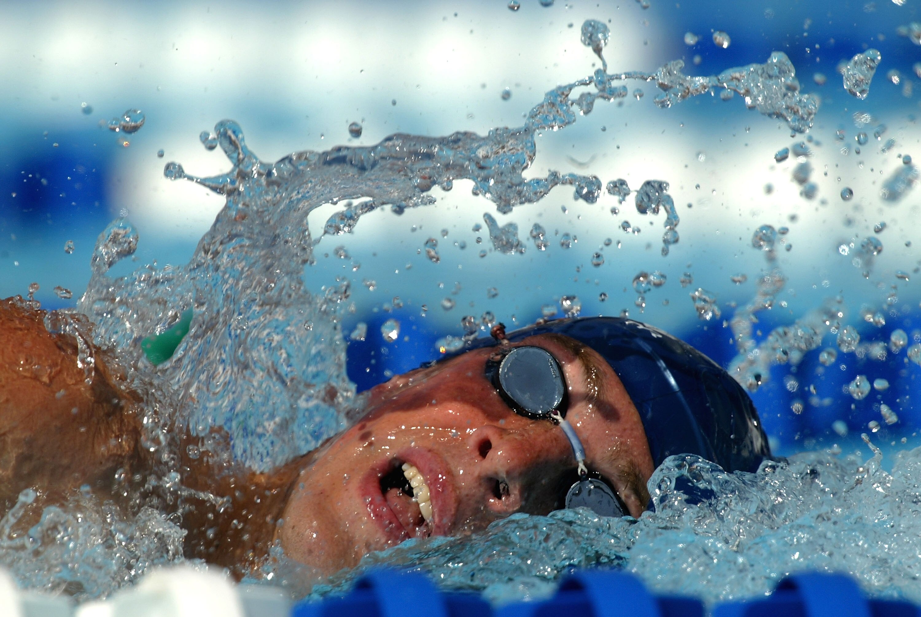 Fran Crippen: Latest Updates On Mysterious Death of Olympic Swimmer