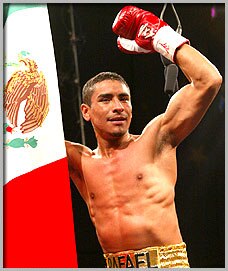 Top 10 Boxers to Watch If You Want to See a Knockout