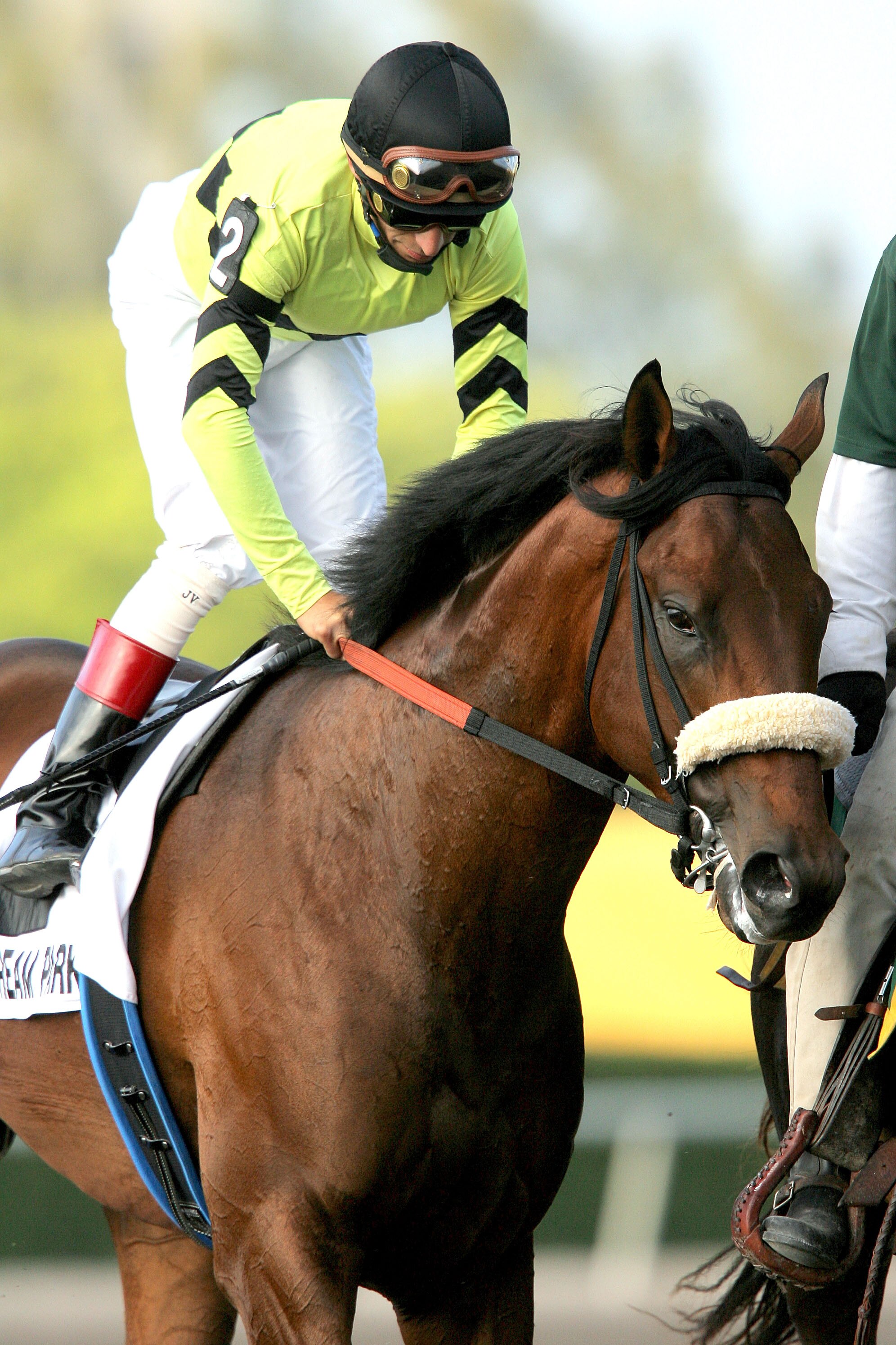 Breeders Cup 2010: Predictions for Zenyatta and This Year's Classic