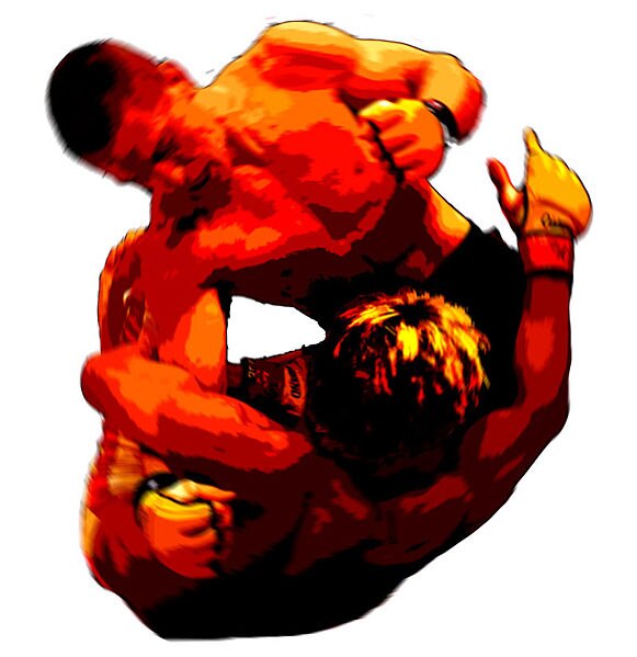 15 MMA Fights for the Ultimate Fighting Fan in 2011