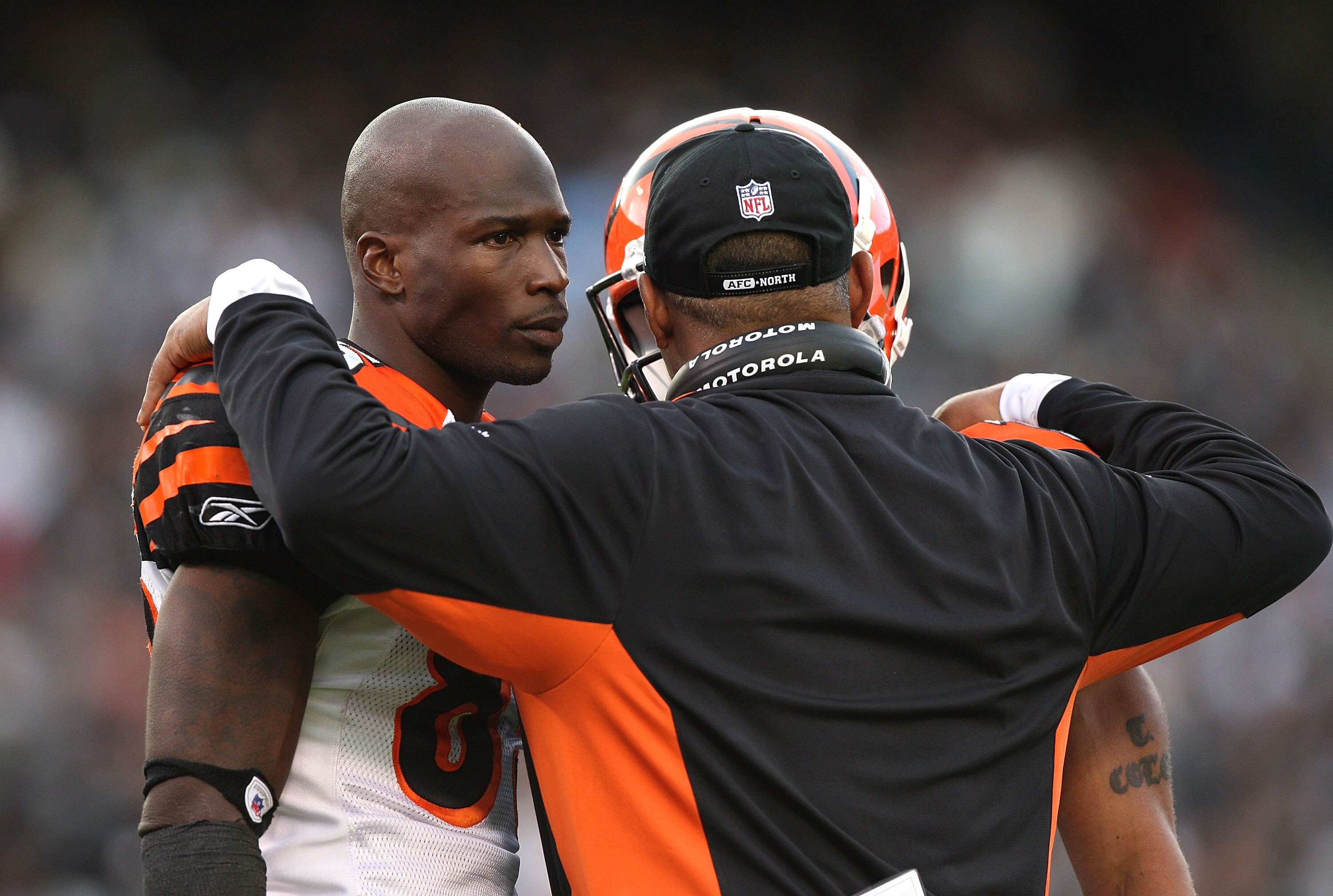 Cincinnati Bengals: Marvin Lewis Expects To Know His Fate by Tuesday