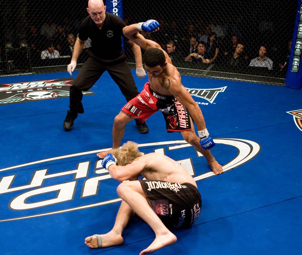 Deciphering a Bomb: The Most Explosive Fighter In Each UFC Weight Class ...