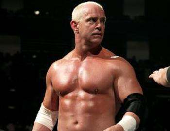 Hardcore bob holly back :: |bob holly interviews|