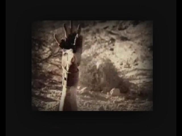 WWE: The Crow Is Coming To Resurrect the Undertaker From His Enemies ...