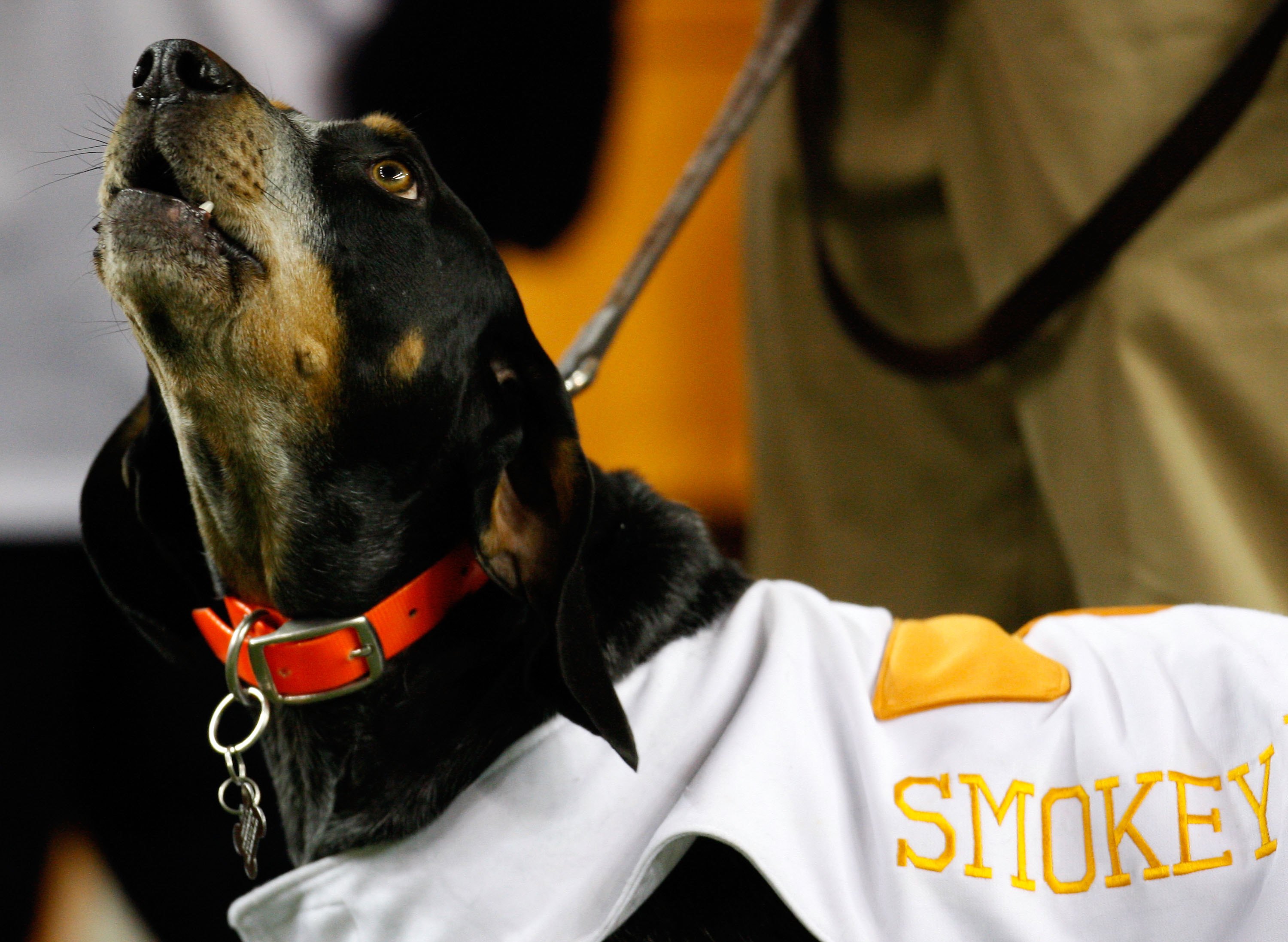 Tennessee Football 2011: 10 Reasons the Volunteers Can Win the SEC East ...