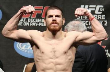 Bearded fighters - Beard Board