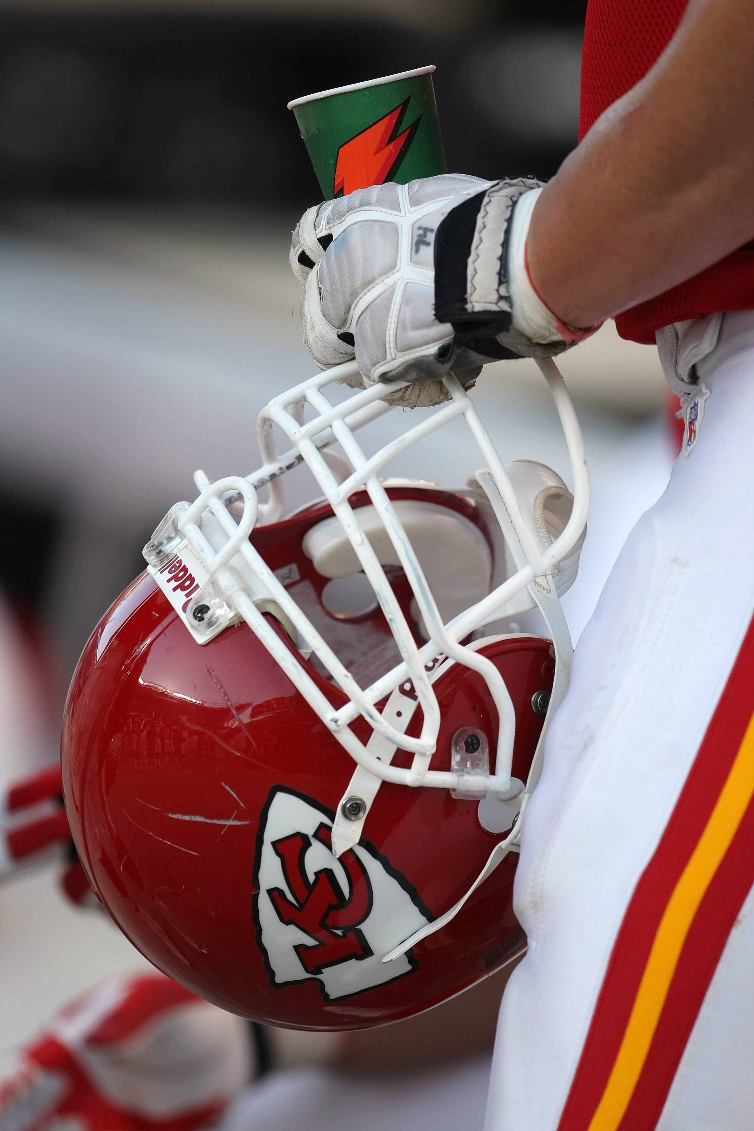 NFL Background Checks: The Origin of Every Team's Nickname