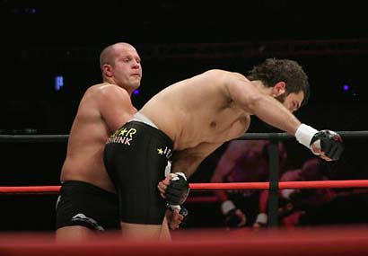 Jon Jones: Brock Lesnar, Fedor Emelianenko and 10 Dream Matchups for ...