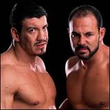 5 Best Wrestling Families in History