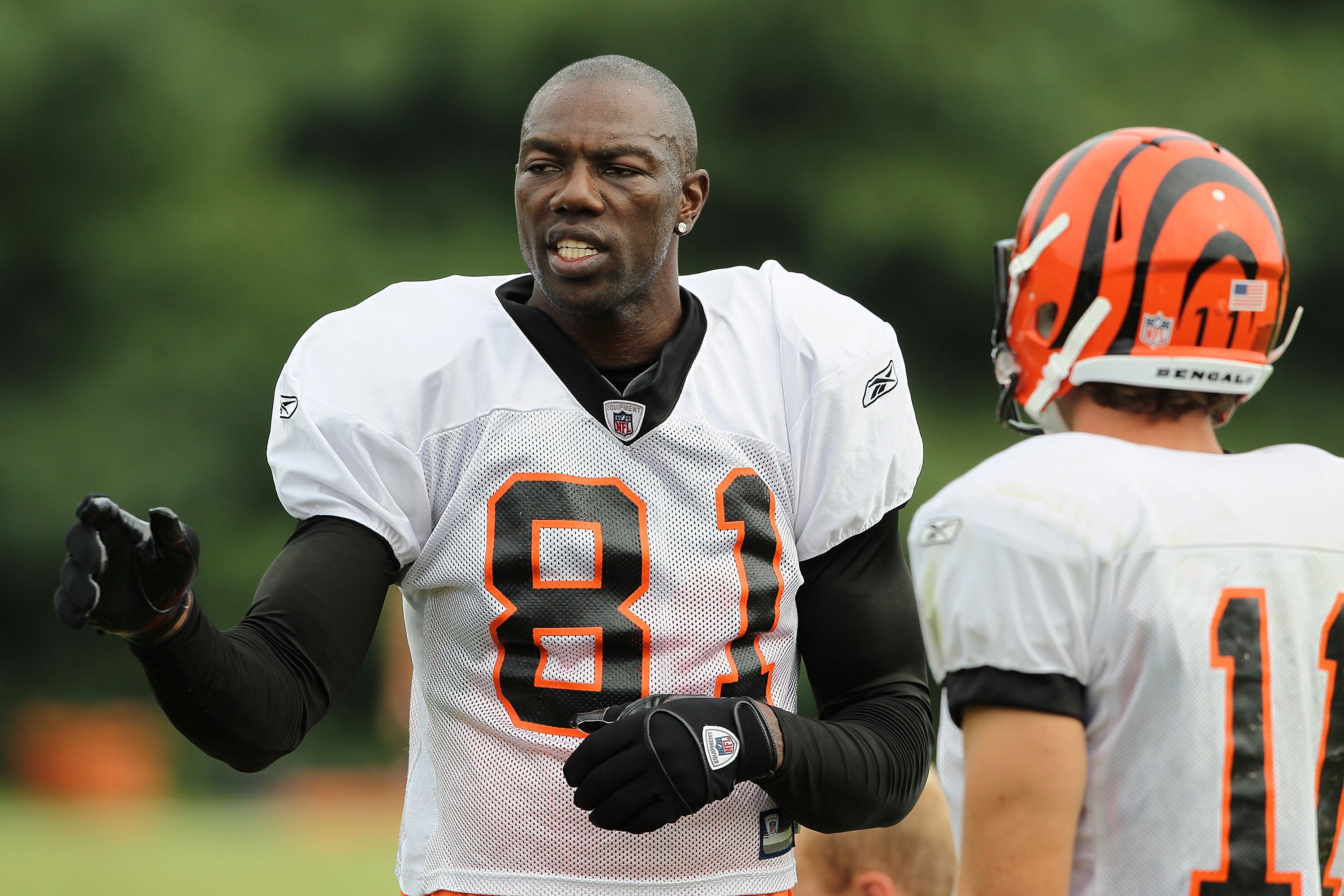 NFL Lockout 2011: 10 Near-Hall Of Famers Who Need This Season