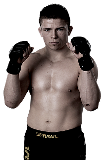 UFC 130 Results: 5 Fights That Will Catapult Rick Story into the Title ...