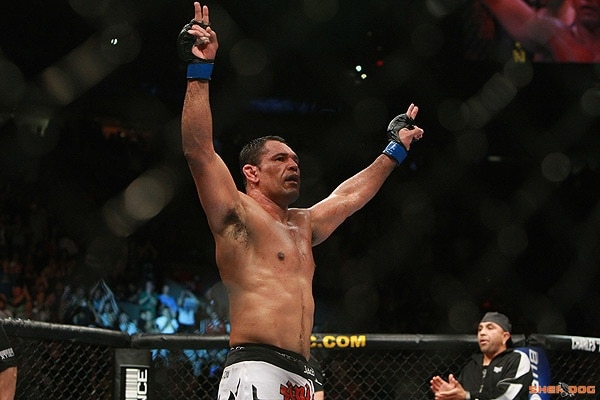 UFC 130 Results: Ranking the Top 10 Heavyweights in the UFC
