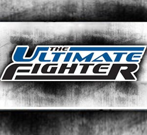 Five Ways to Make UFC Undisputed 3 the Ultimate MMA Game
