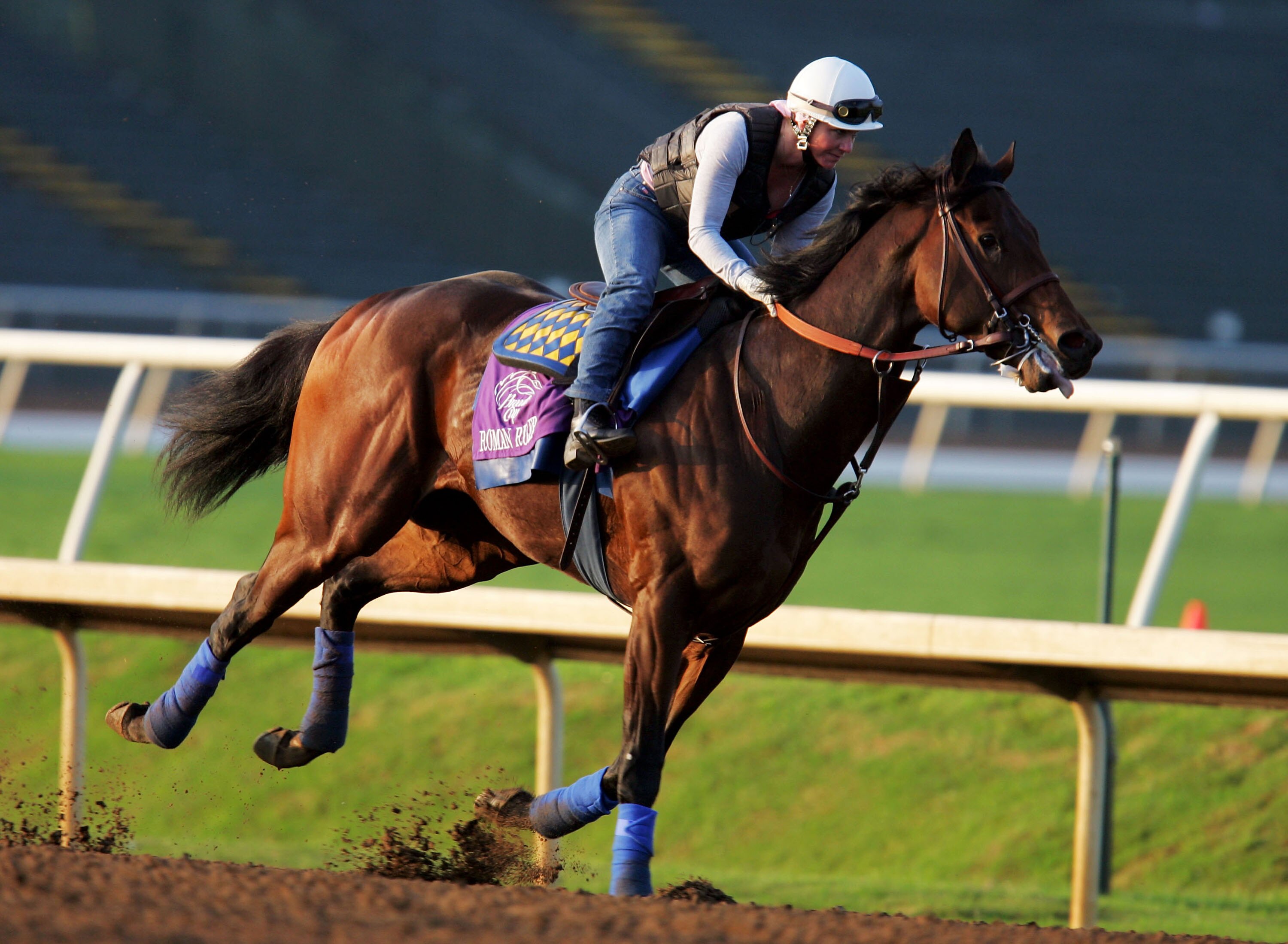 Belmont Stakes 2011: 1 Fact You Should Know About Each Horse