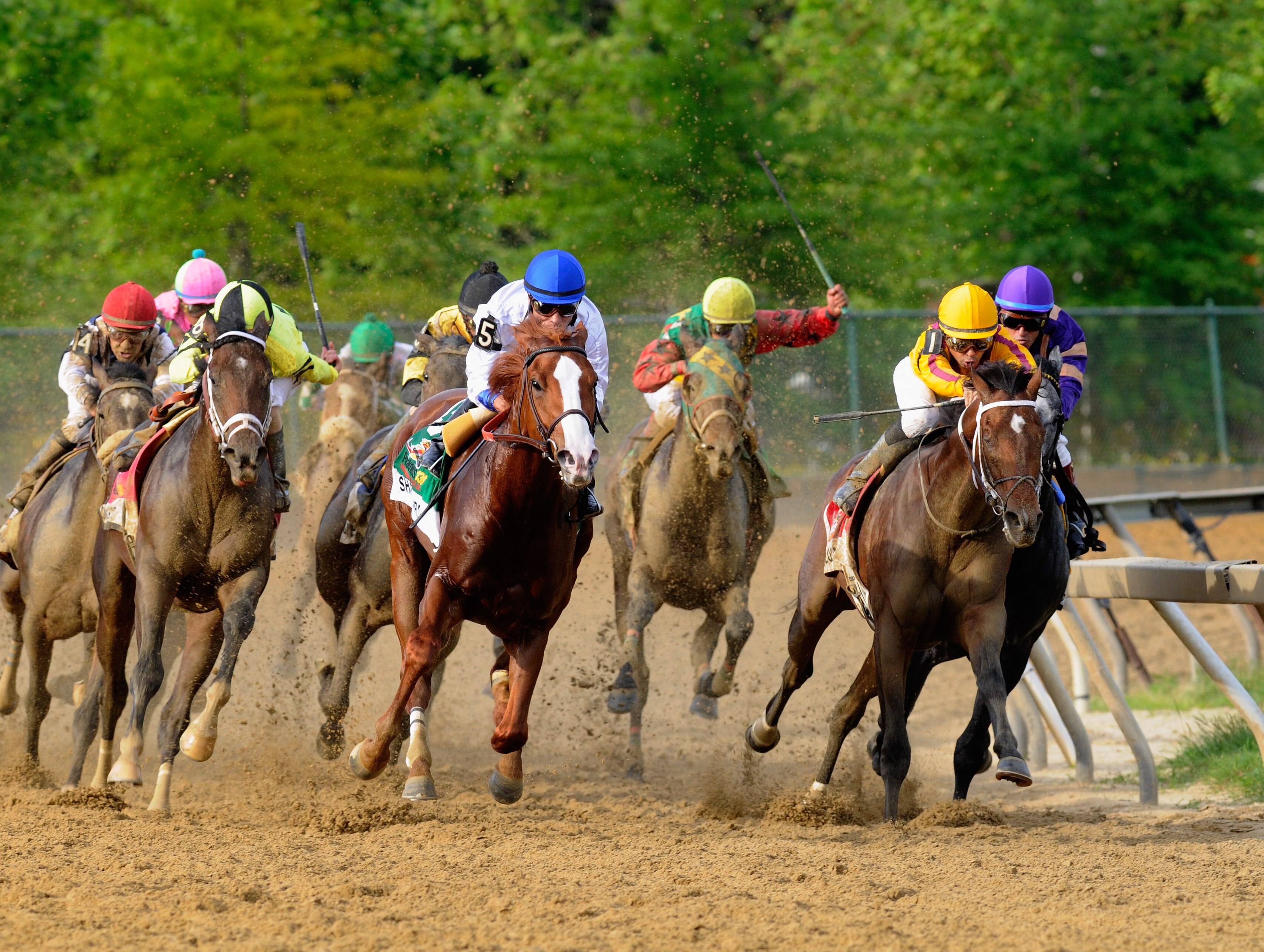 2011 Belmont Stakes Favorites: Meet the Field at This Year's Race ...