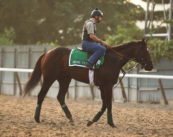 2011 Belmont Stakes: The Odds for Every Horse in the Field
