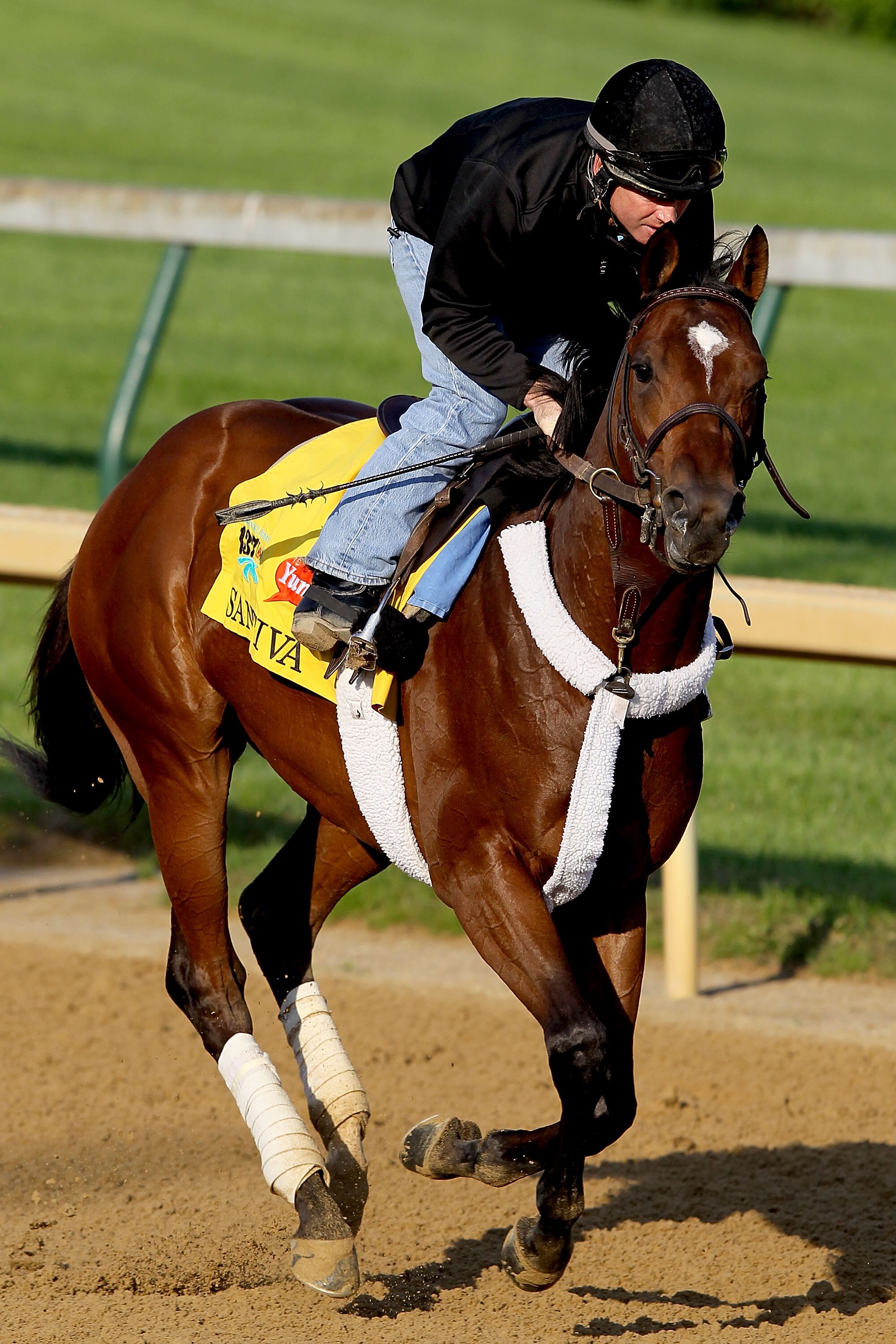 Belmont Stakes 2011: Animal Kingdom, and 7 Horses We're Excited to See