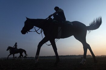 Belmont Stakes 2011: Horse Racing Betting Lingo 101