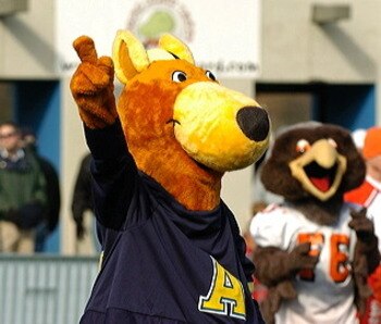 The Akron Zips & D1 College Mascots Nobody Has Ever Seen in Real Life ...