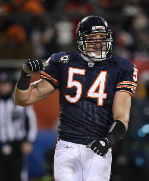 Chicago Bears 2009 Schedule and Prediction