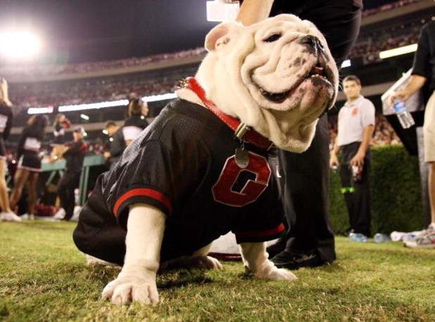 The Top 10 Quarterbacks in Georgia History