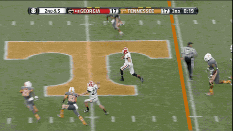 Georgia vs. Tennessee: Score, Grades and Analysis