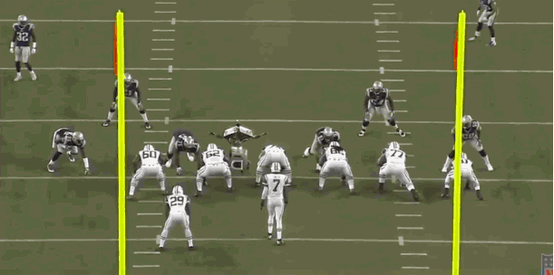 Vince Wilfork Interception Gif